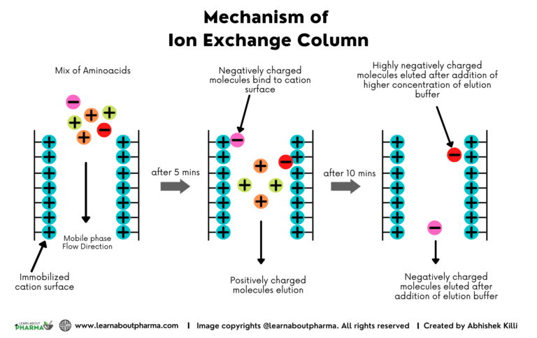 HPLC Columns – Definition, Principle, Types, and Maintenance