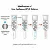 HPLC Columns – Definition, Principle, Types, and Maintenance