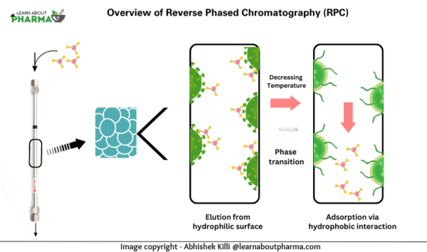 Mastering Reverse Phase Chromatography : Key Insights for Enhanced Analytical Performance